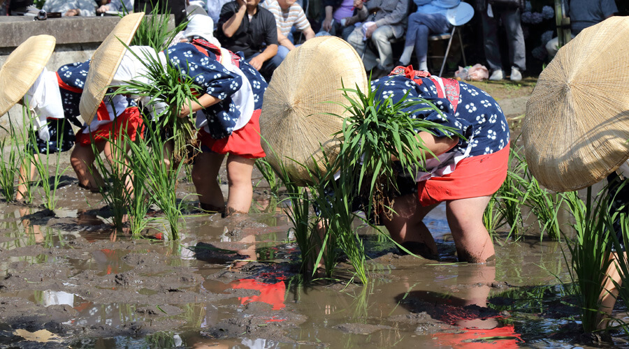 Index of /assets/img/otaue/